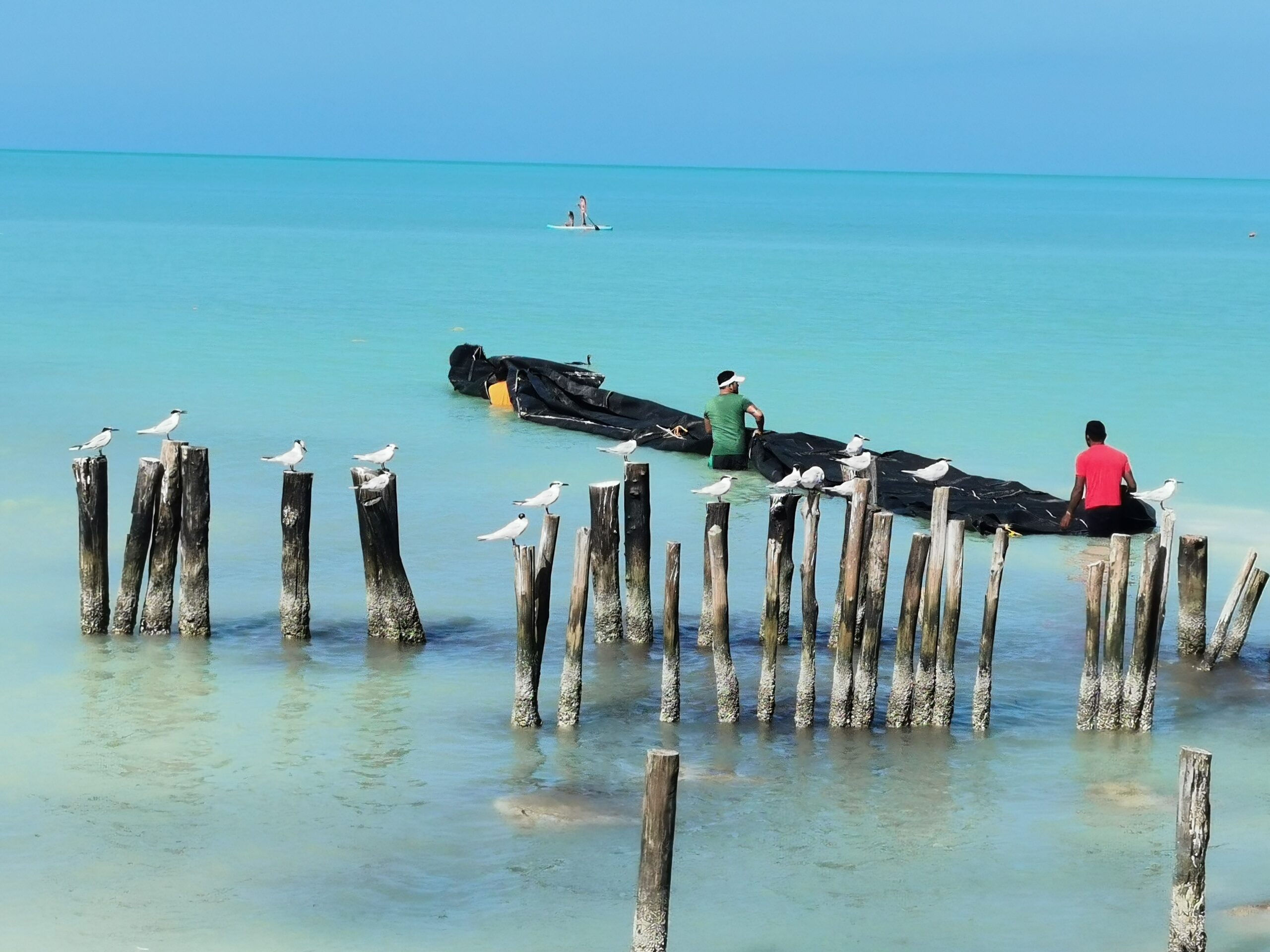 INSTALACIÓN DE ESPIGÓN PARA RECUPERACIÓN DE PLAYA - EcoCivil ...